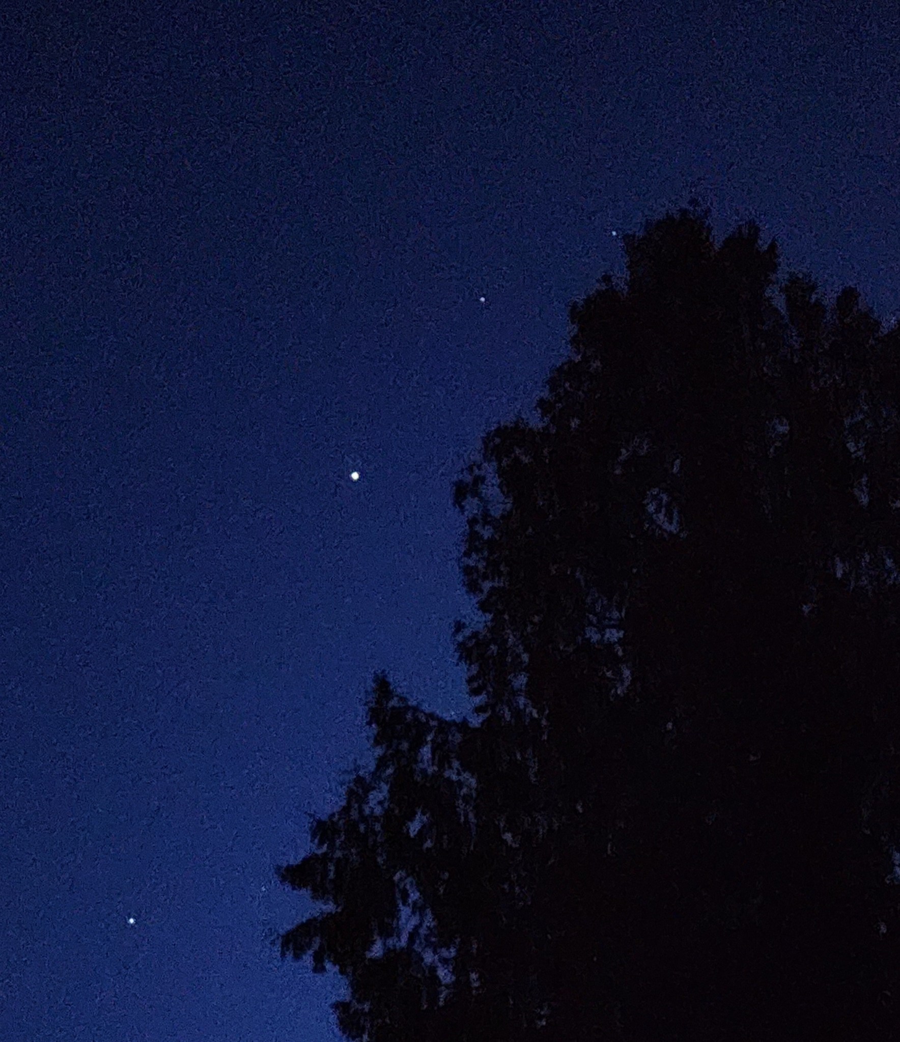 About – Jupiter Bright Star Arts